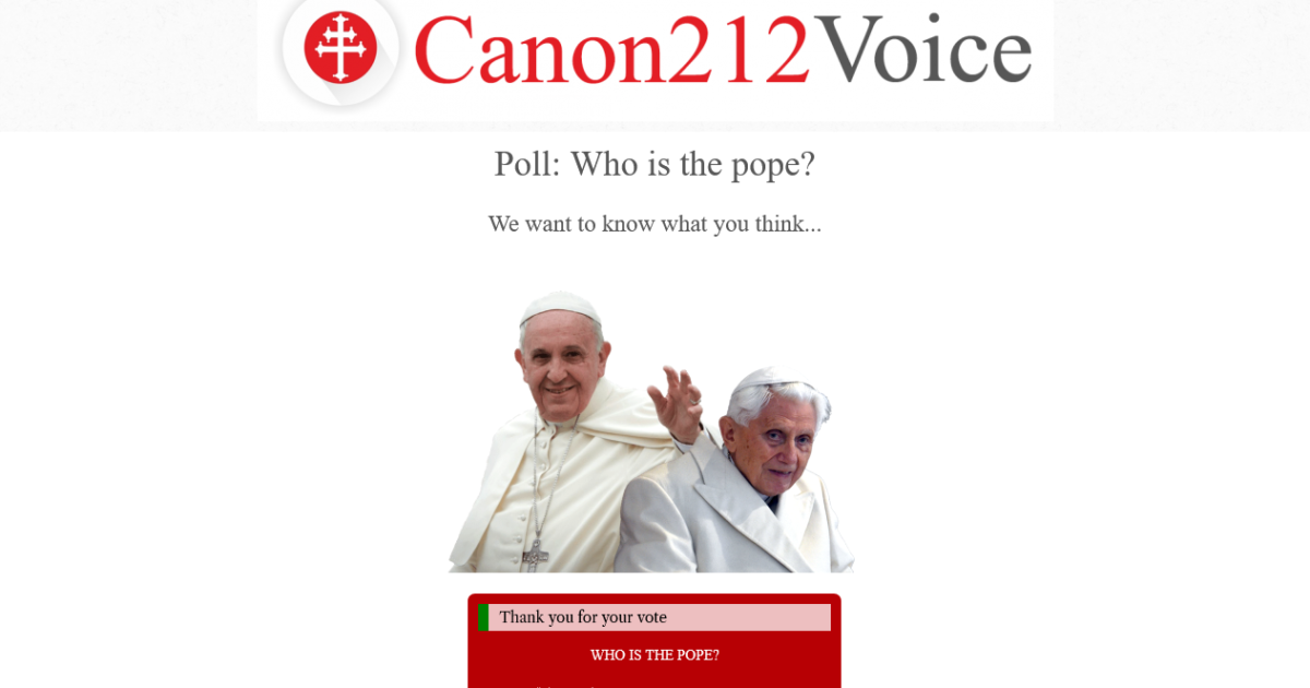 Canon212.com Poll: Only 25% of Catholics believe Bergoglio is the Pope ...
