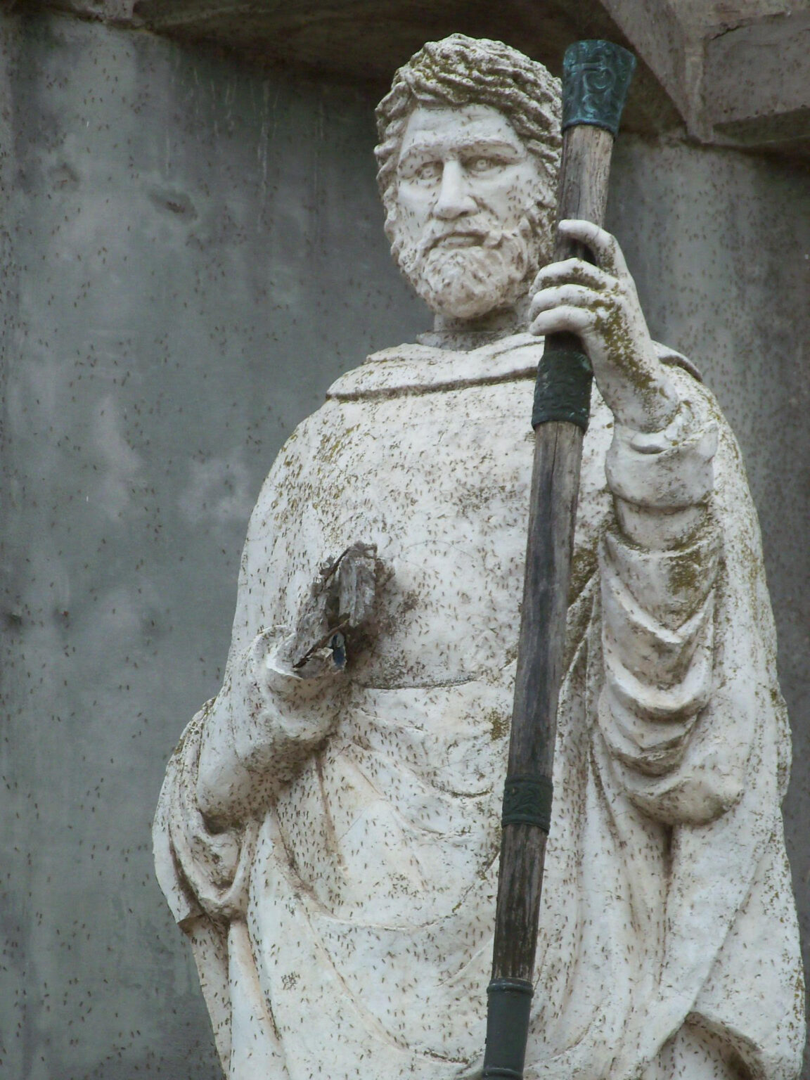 EXCLUSIVE Photo of Struck St. Peter’s Statue, National Shrine of St ...