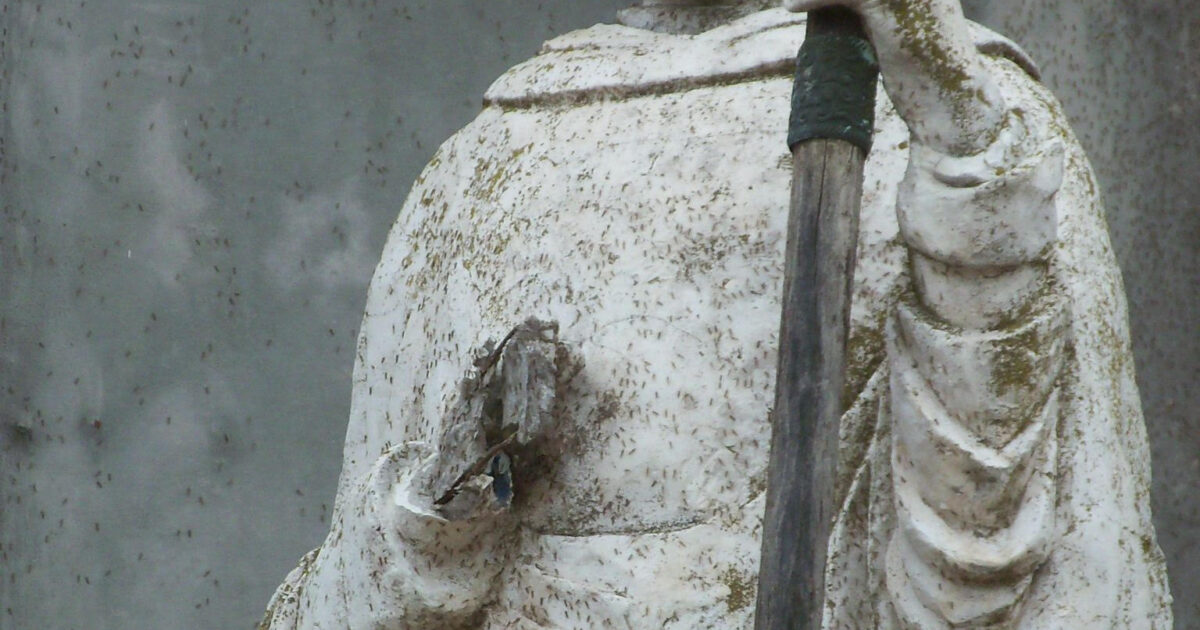EXCLUSIVE Photo of Struck St. Peter’s Statue, National Shrine of St ...