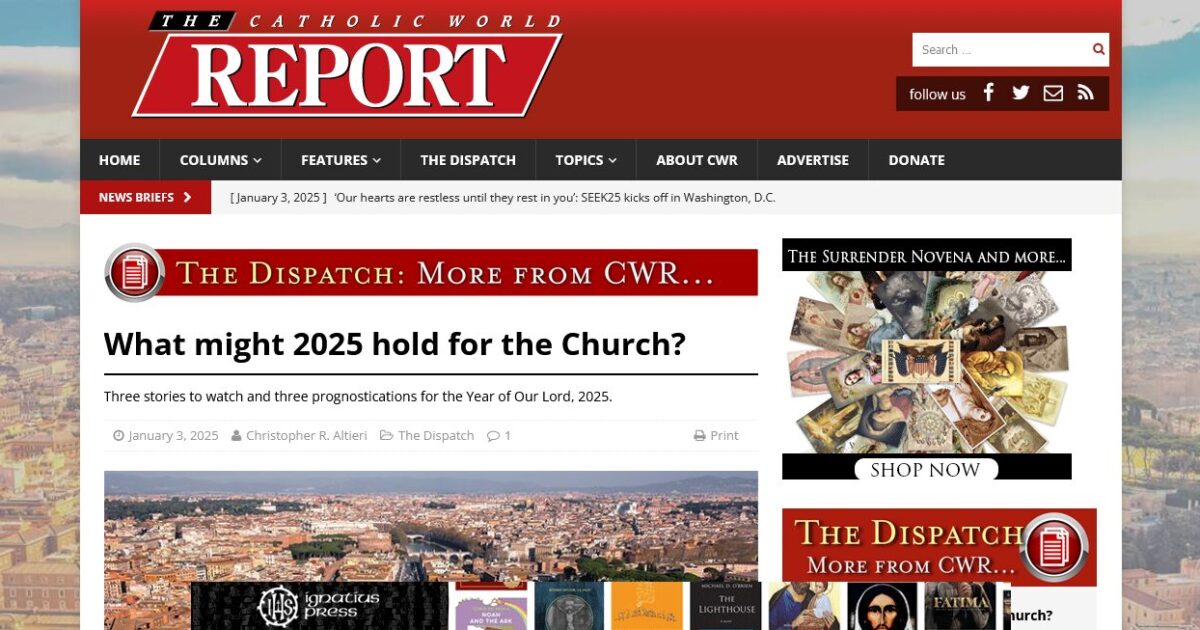 Catholic World Report pretends there is no massive problem with Heresy ...