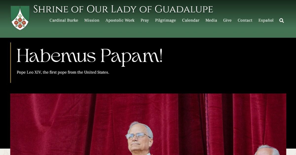 Cardinal Burke endorses Lavender Mafia Prevost as Pope | From Rome