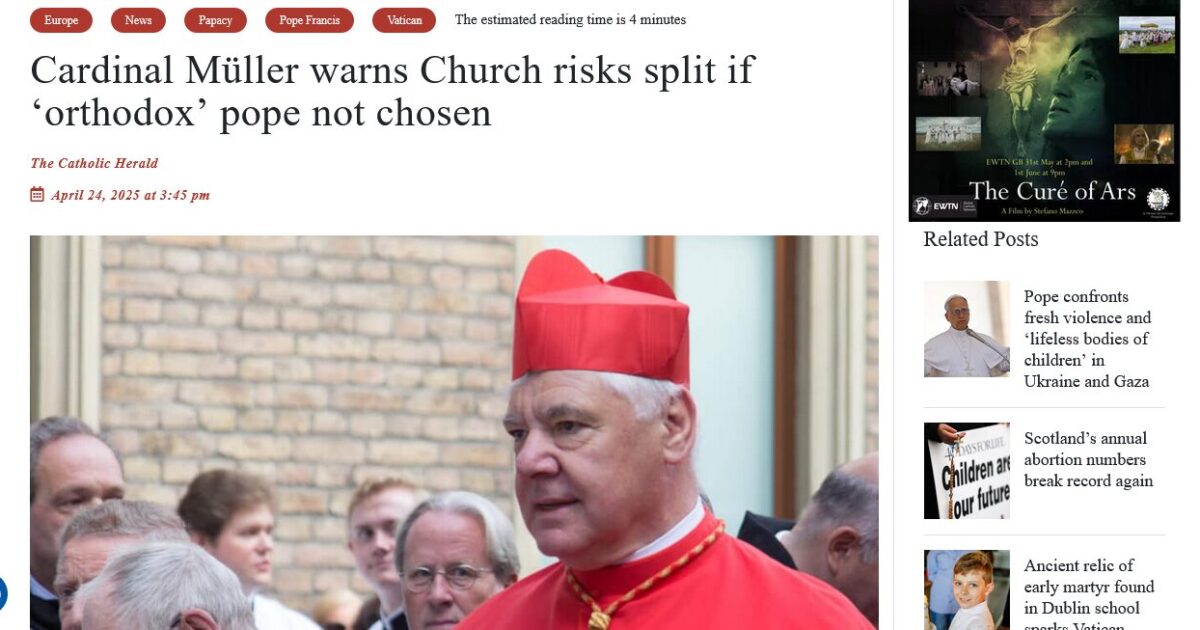 Cardinal Mueller in April said that a Pope Francis II would be a ...